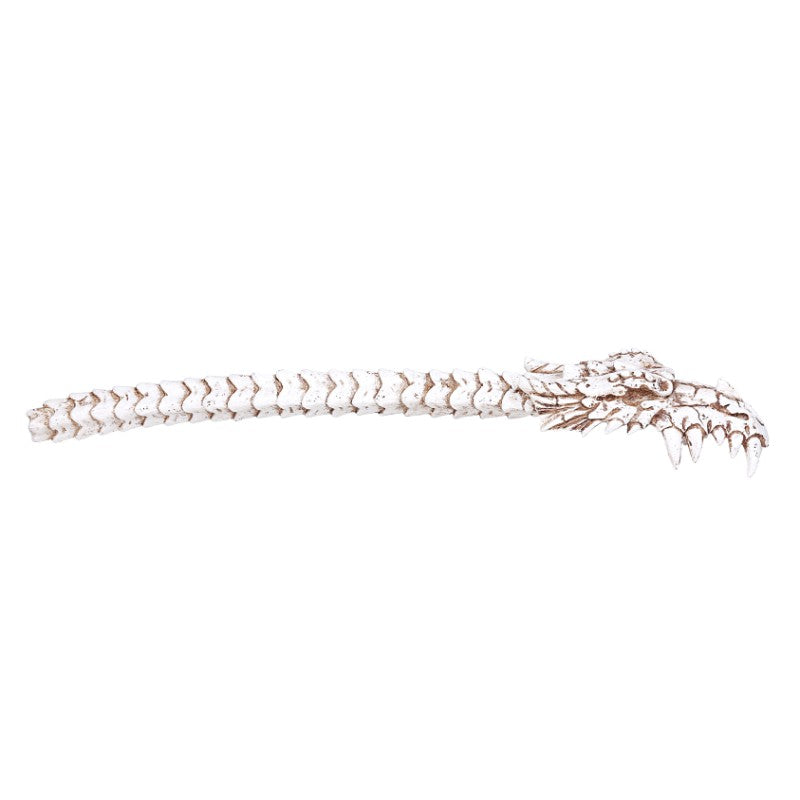 Pacific Giftware Dragon Skull Bone Back Scratcher #12819 – ConceptWares.com